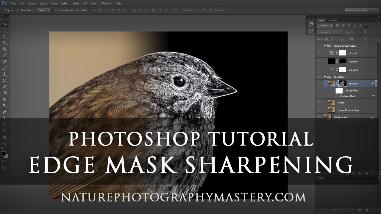 Edge Mask Sharpening in Photoshop – Nature Photography Mastery Academy