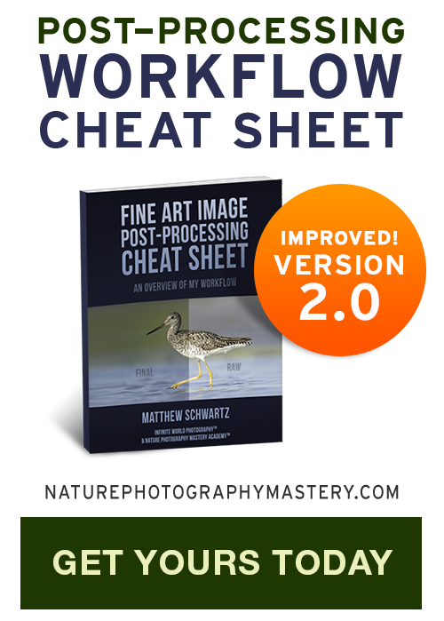 opt-in-editing-cheat-sheet-banner – Nature Photography Mastery Academy
